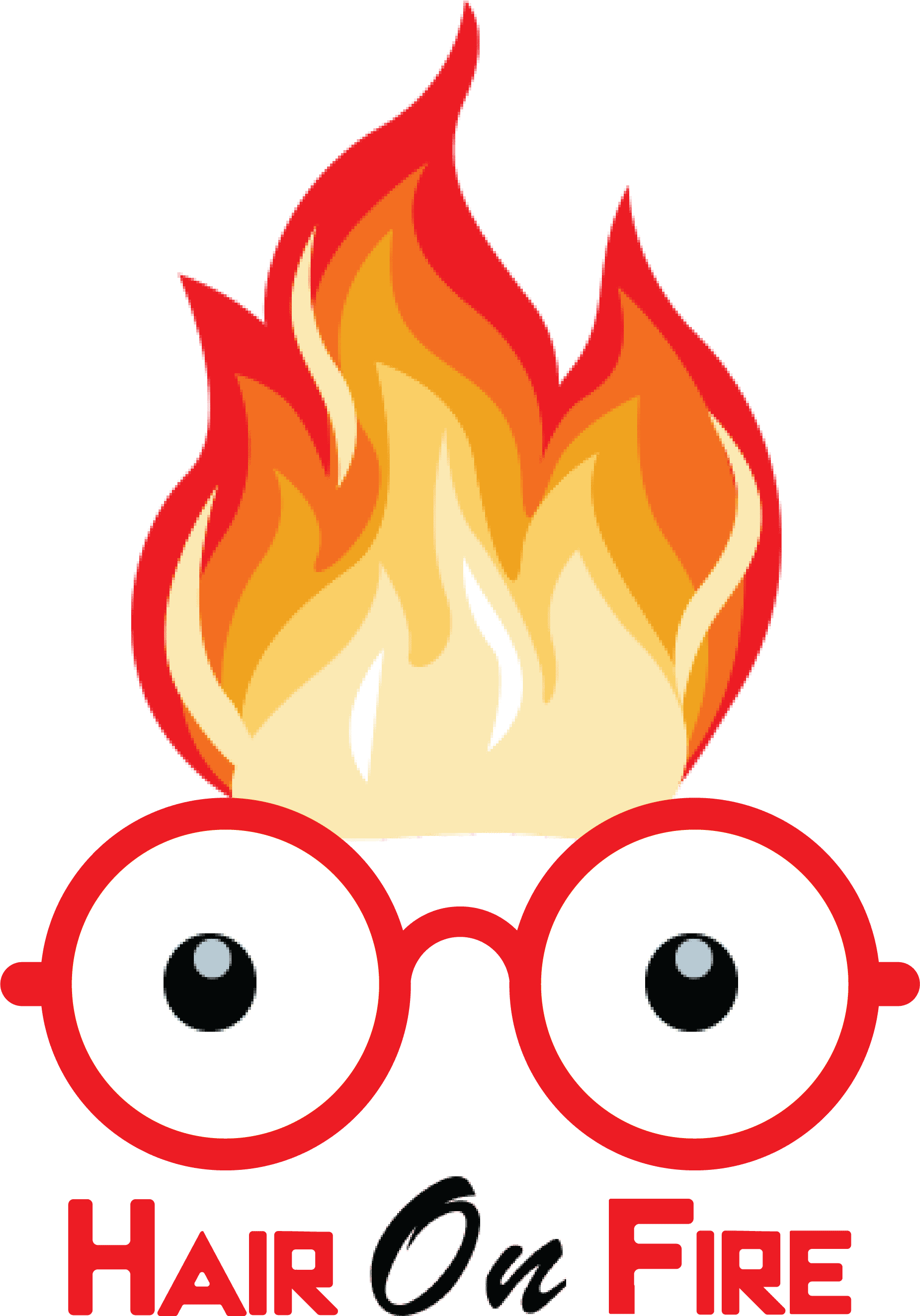 Hair on Fire Team: 49 Years of Diverse Business Experiences - Hair on Fire